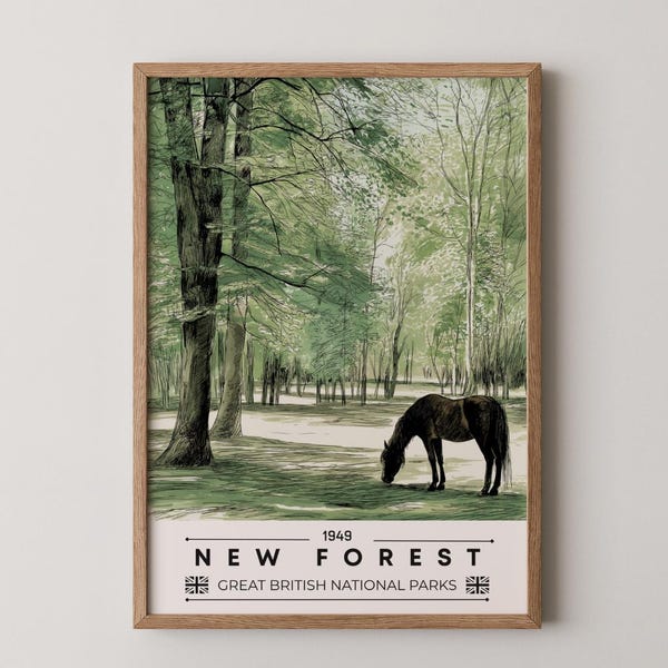 New Forest Pony Print - Etsy UK