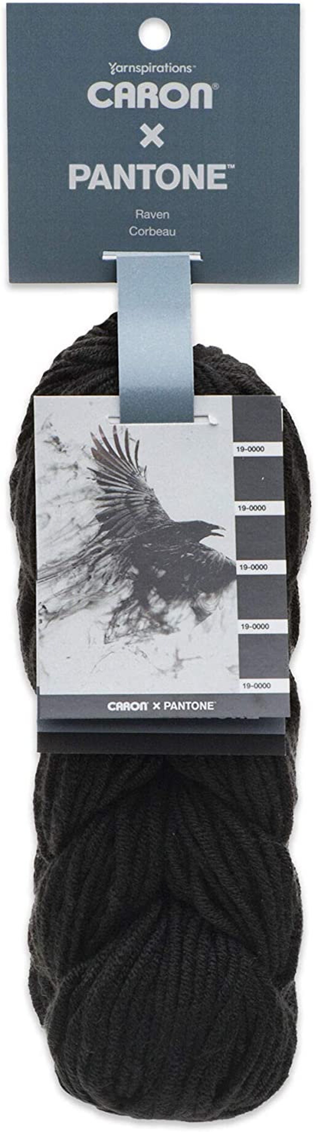 Caron Pantone X Raven 5-color Knitting & Crochet Yarn - Etsy
