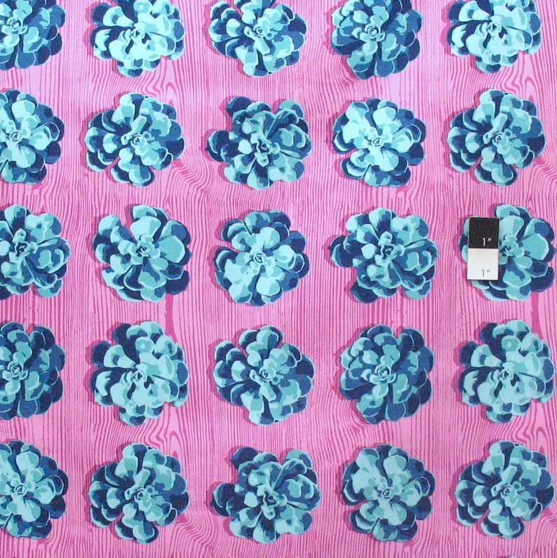 Joel Dewberry SAJD040 Cali Mod Succulents Lavender HOME DECOR | Etsy