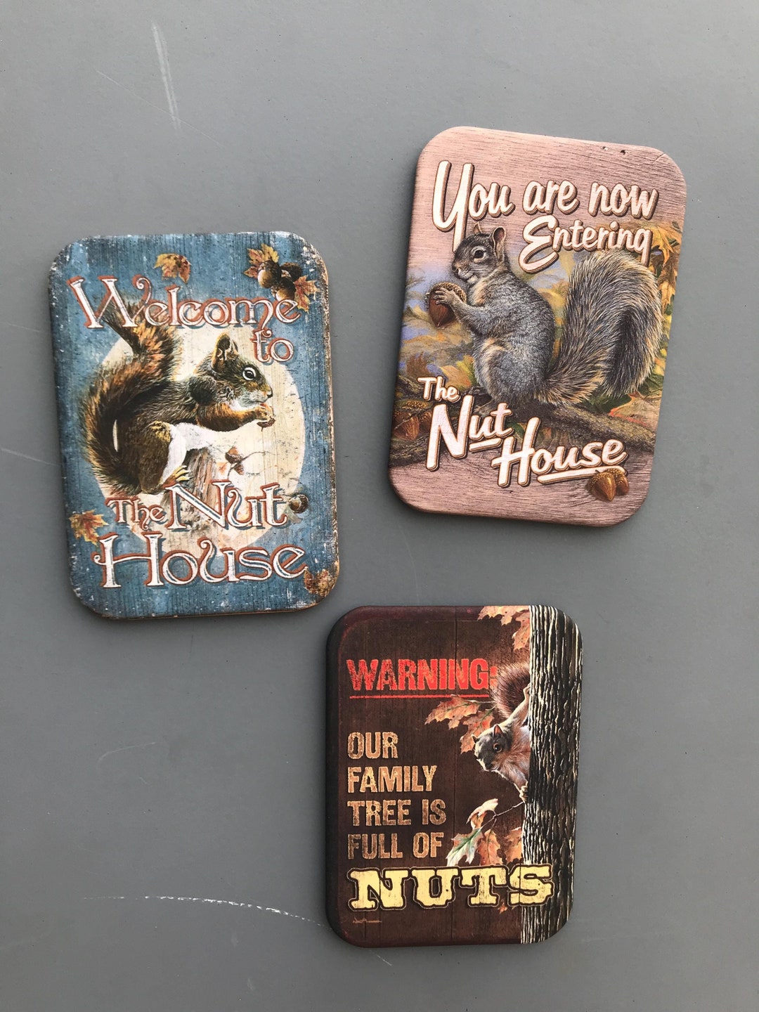 Funny Magnets Our Family Tree is Full of Nuts Squirrel Magnet White ...