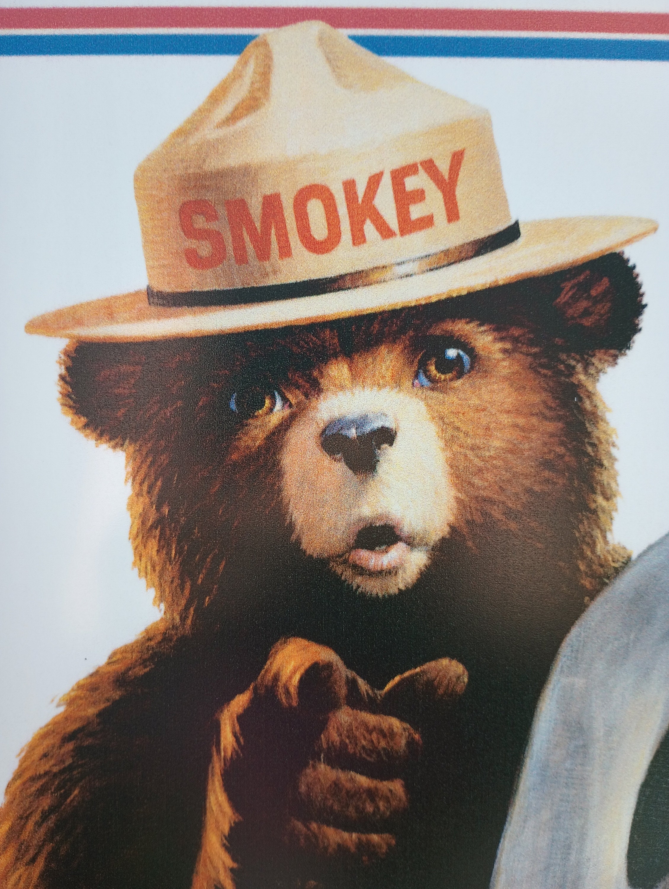 Smokey Bear Tin Sign BUNDLE Only You Can Prevent Wildfires Baby Shower ...