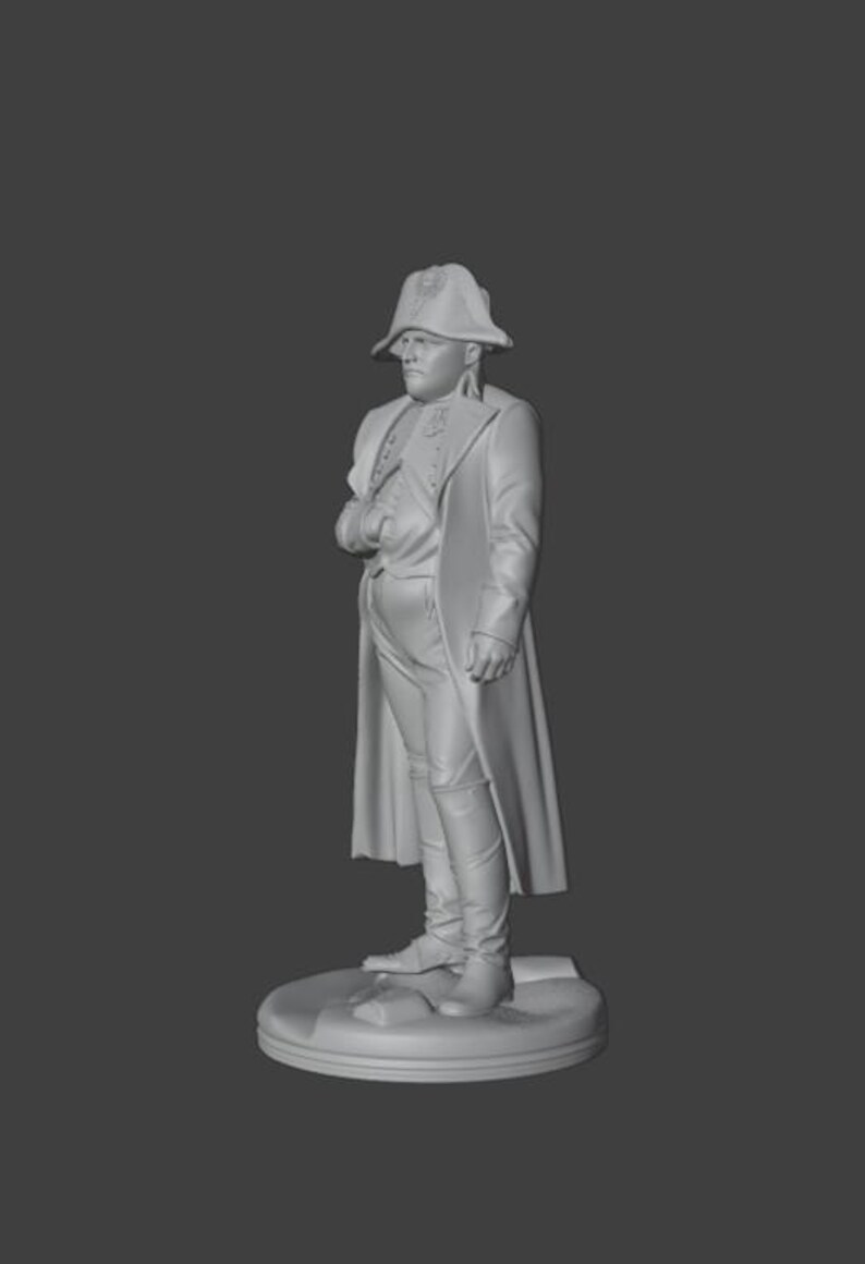 Napoleon Bonaparte at the Battle of Borodino STL File – Historical ...