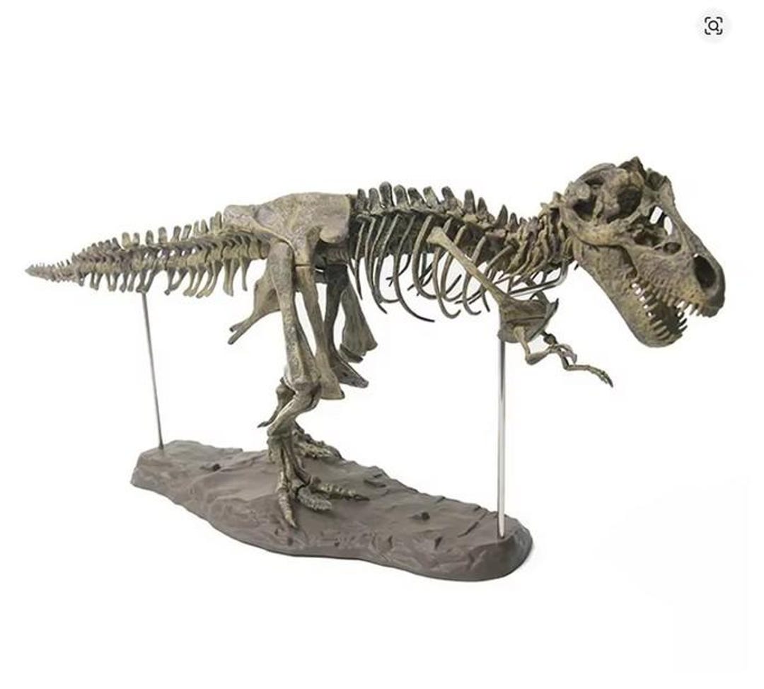 Tyrannosaurus Rex Skeleton STL | T-rex Dinosaur Skeleton | Paleontology ...