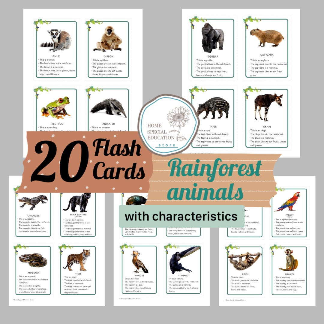 Rainforest Animals Flashcards, Montessori Cards, Realistic Animals ...