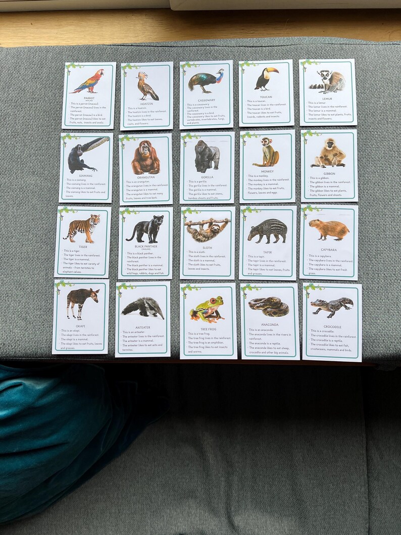 Rainforest Animals Flashcards, Montessori Cards, Realistic Animals ...