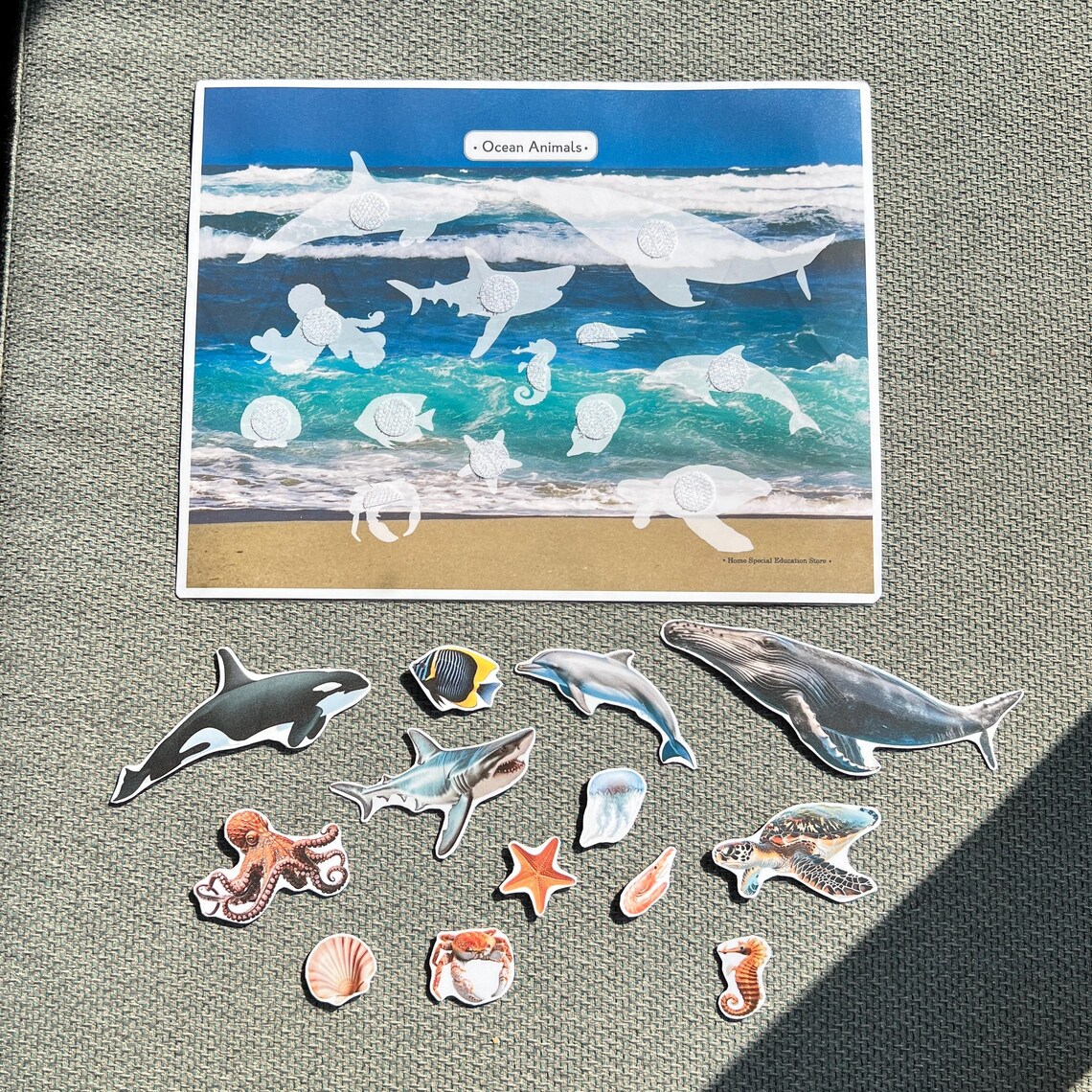 Realistic OCEAN ANIMALS, Special Education Print, Matching Shapes ...
