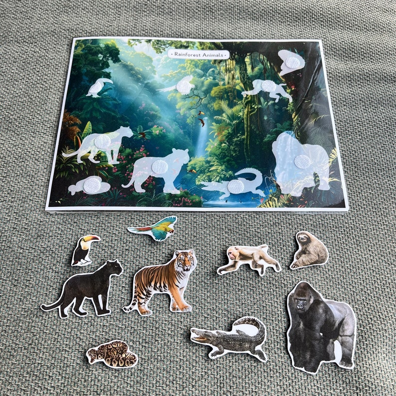 Realistic RAINFOREST ANIMALS , Special Education Print, Matching Shapes ...