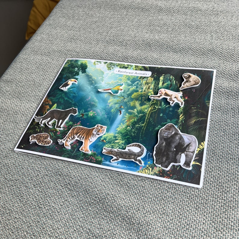Realistic RAINFOREST ANIMALS , Special Education Print, Matching Shapes ...