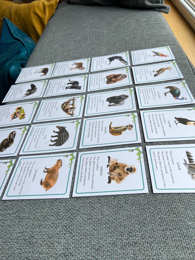 Rainforest Animals Flashcards, Montessori Cards, Realistic Animals ...