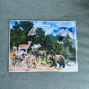 Realistic FOREST ANIMALS, Special Education Print, Matching Shapes ...