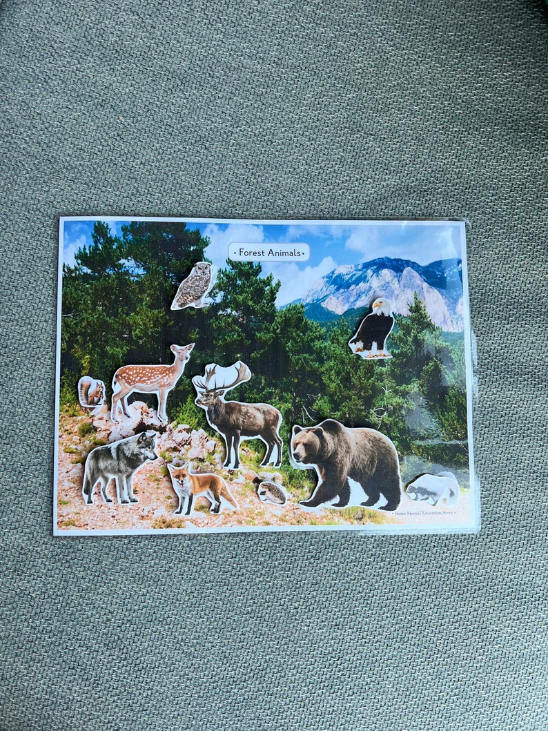 Realistic FOREST ANIMALS, Special Education Print, Matching Shapes ...
