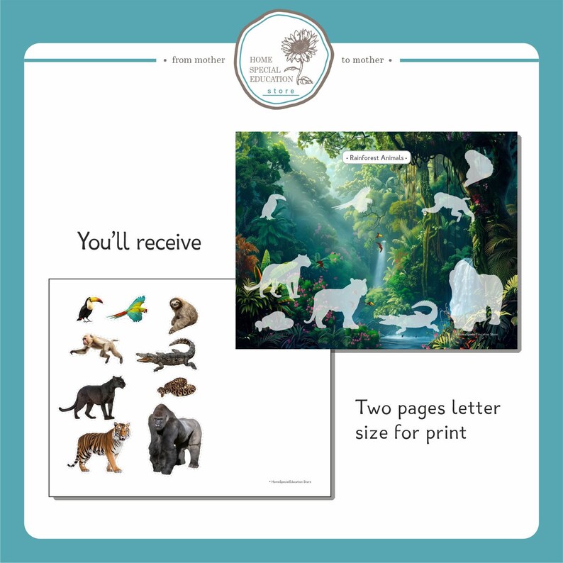Realistic RAINFOREST ANIMALS , Special Education Print, Matching Shapes ...