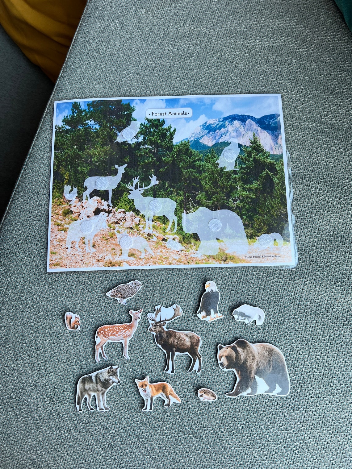 Realistic FOREST ANIMALS, Special Education Print, Matching Shapes ...