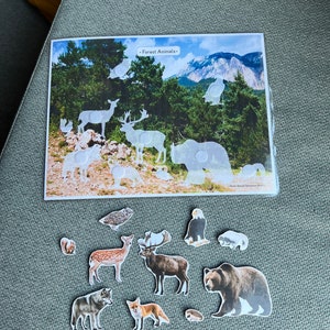 Realistic FOREST ANIMALS, Special Education Print, Matching Shapes ...