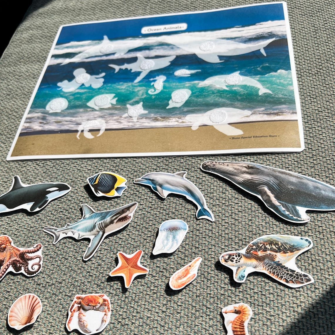 Realistic OCEAN ANIMALS, Special Education Print, Matching Shapes ...
