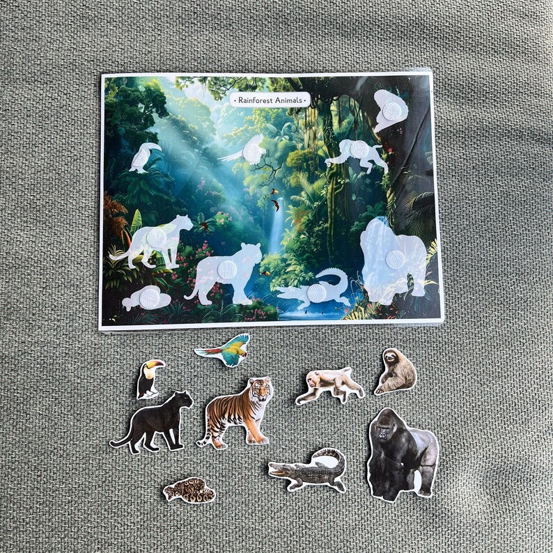 Realistic RAINFOREST ANIMALS , Special Education Print, Matching Shapes ...