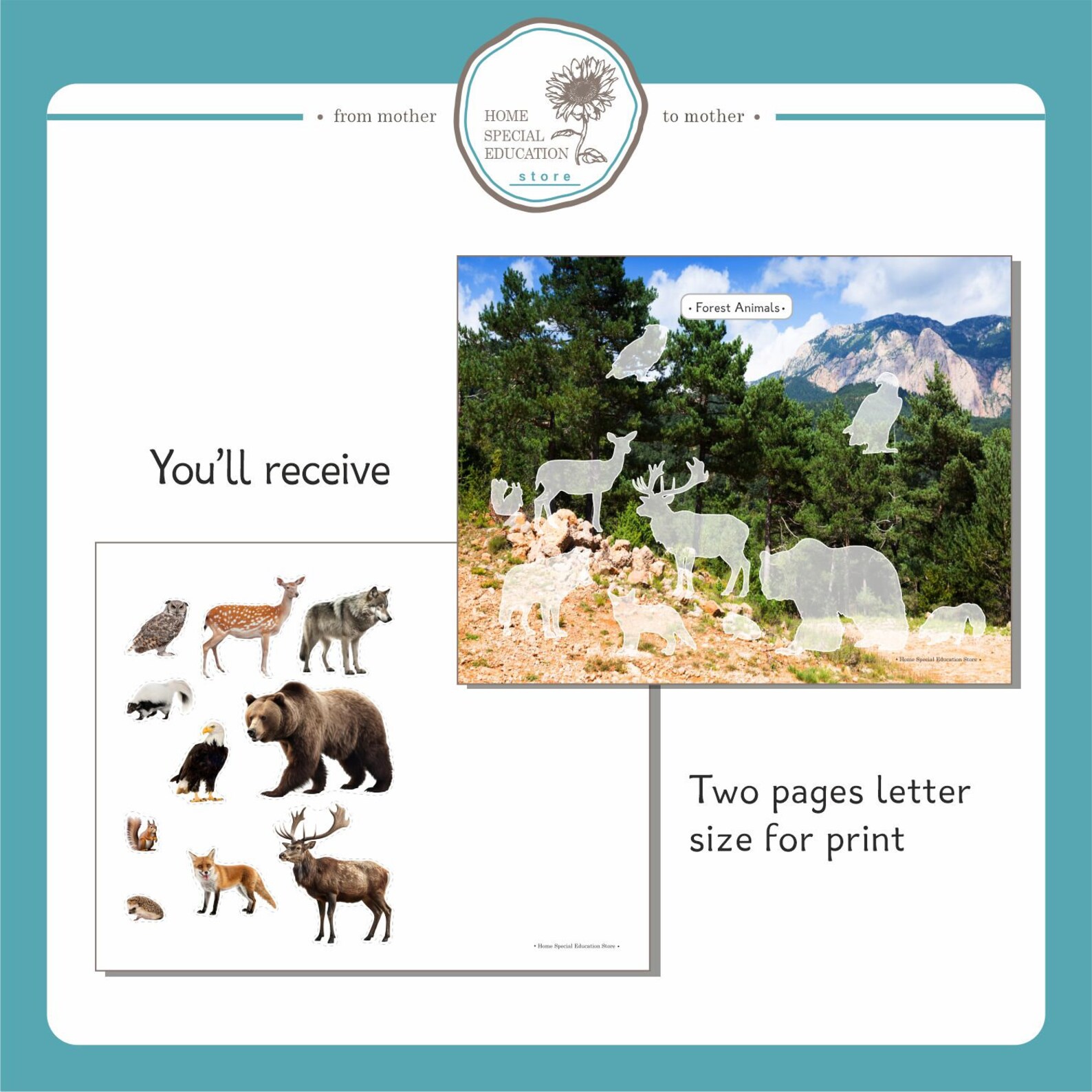 Realistic FOREST ANIMALS, Special Education Print, Matching Shapes ...