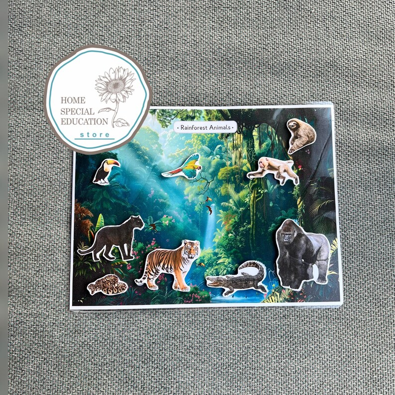 Realistic RAINFOREST ANIMALS , Special Education Print, Matching Shapes ...