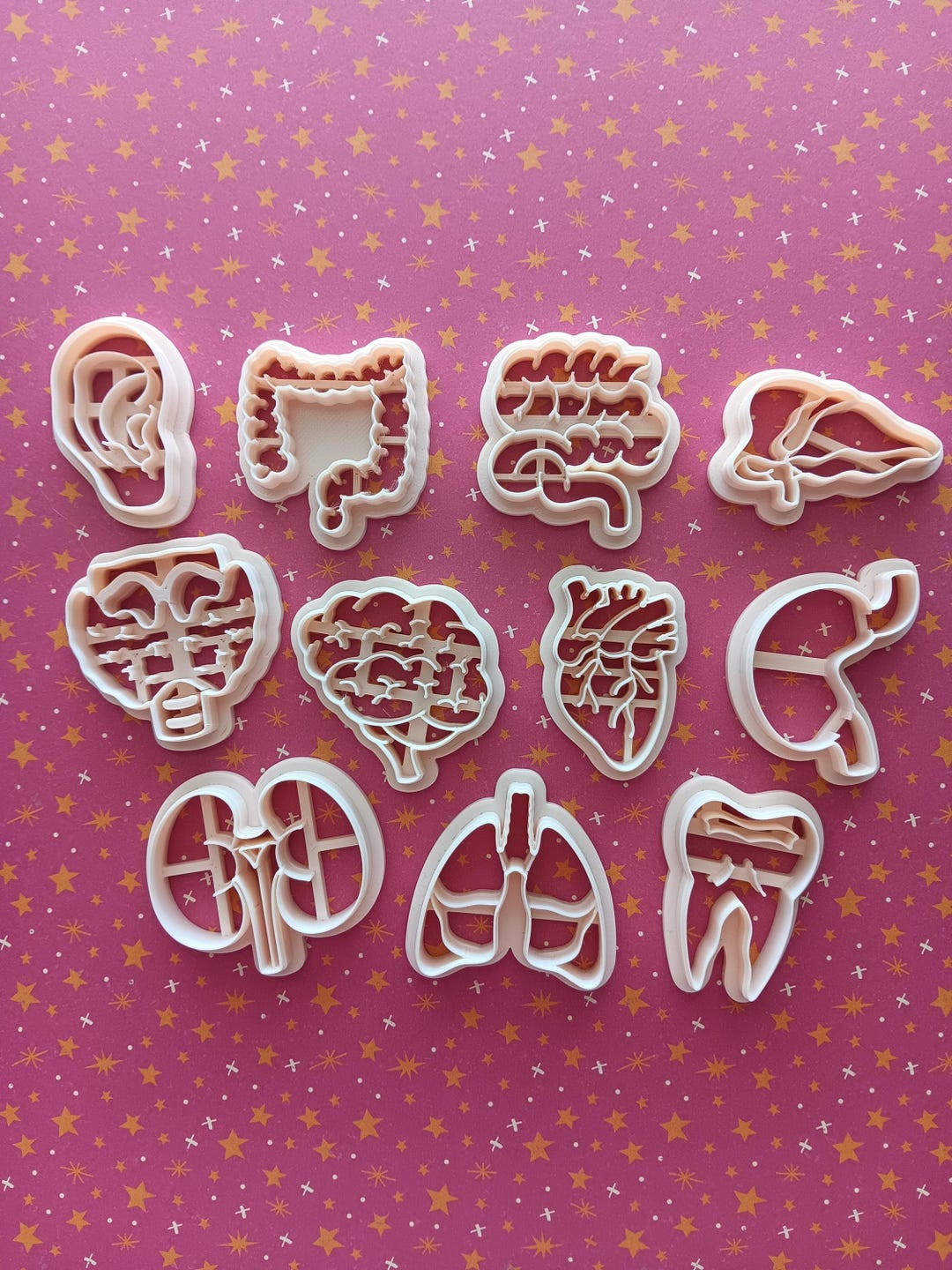 Human Organs - Polymer Clay Cutter Tool - Ear Tooth Liver Kidney Heart ...