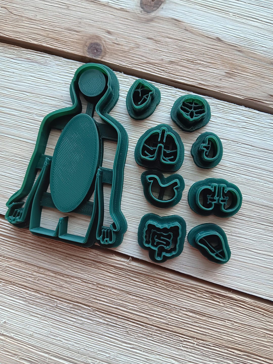Human Body With Internal Organs - Polymer Clay Cutter Tool - Multiple ...