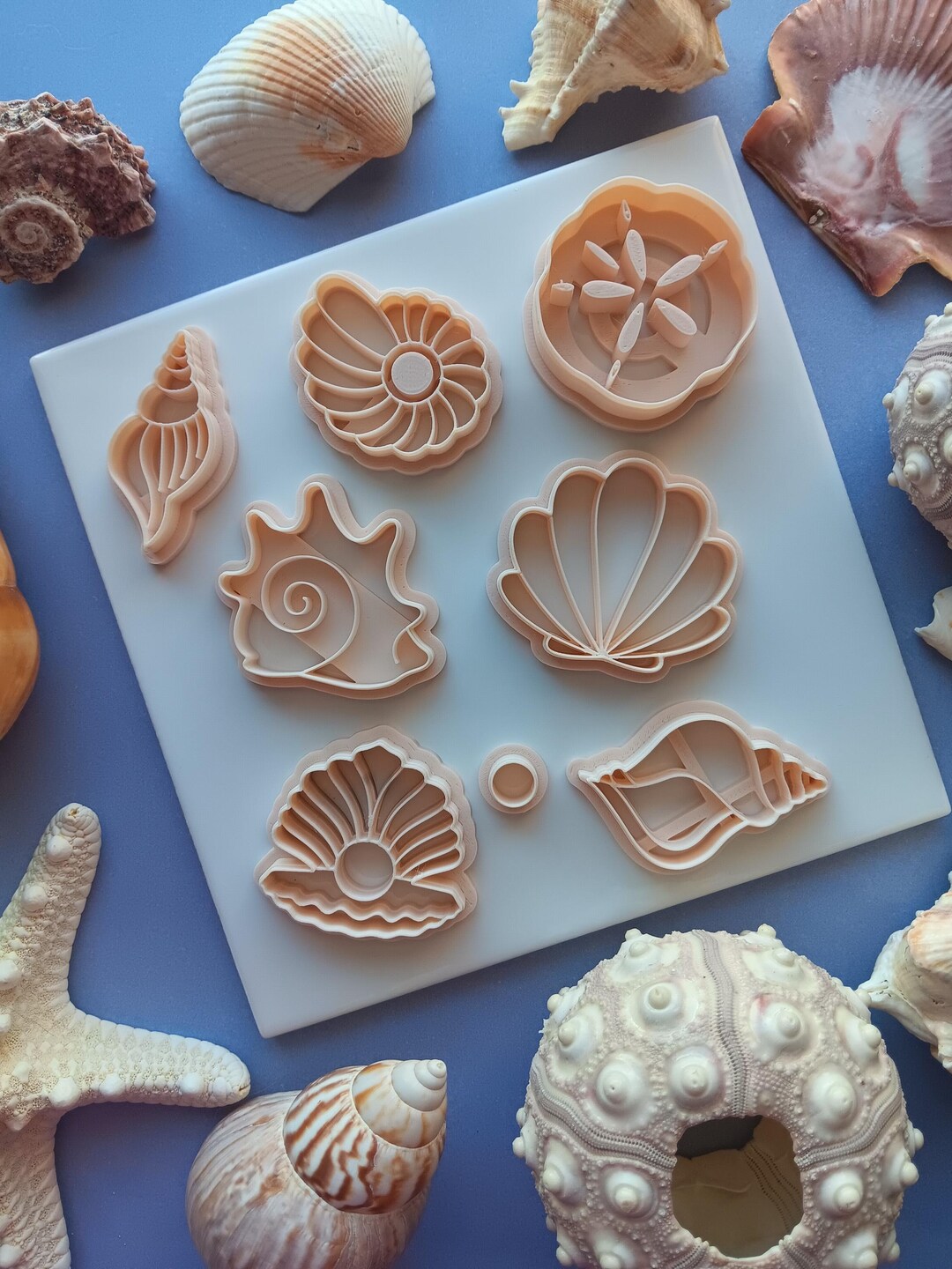 Sea Shells - Polymer Clay Cutter Tool - Multiple Designs and Sizes ...