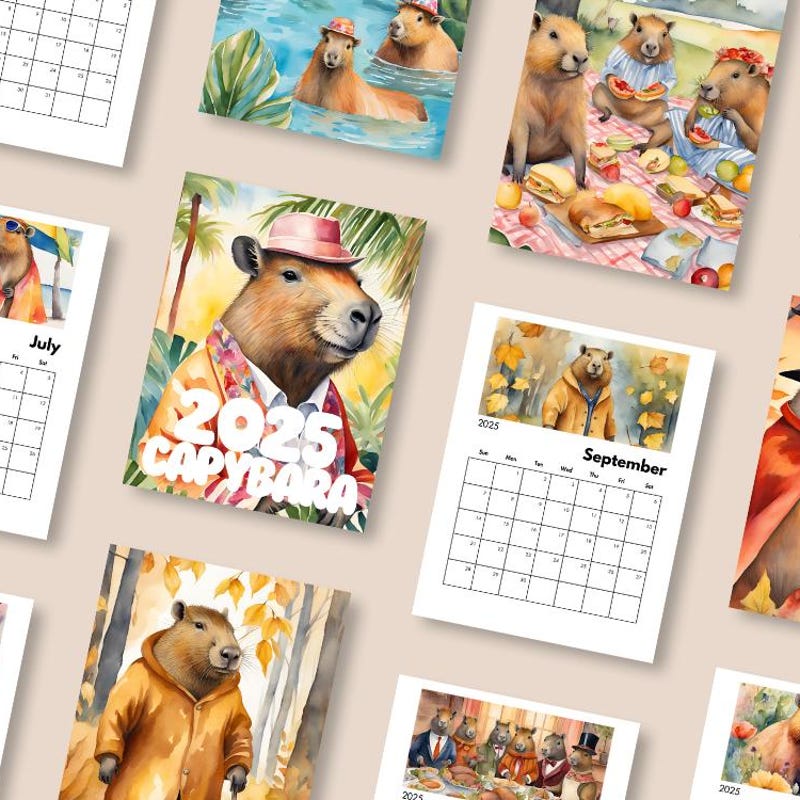Capybara Advent Calendar - Etsy