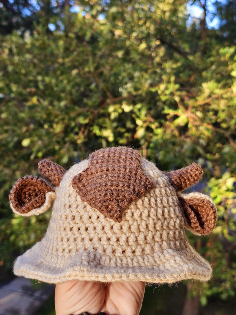 Appa Hat - Etsy