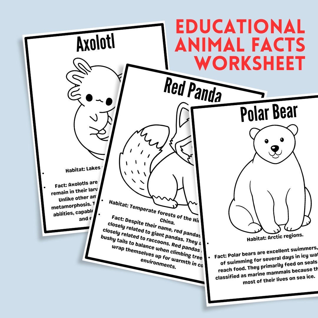 Educational Animal Facts Worksheet: From Lions and Elephants to Exotic ...