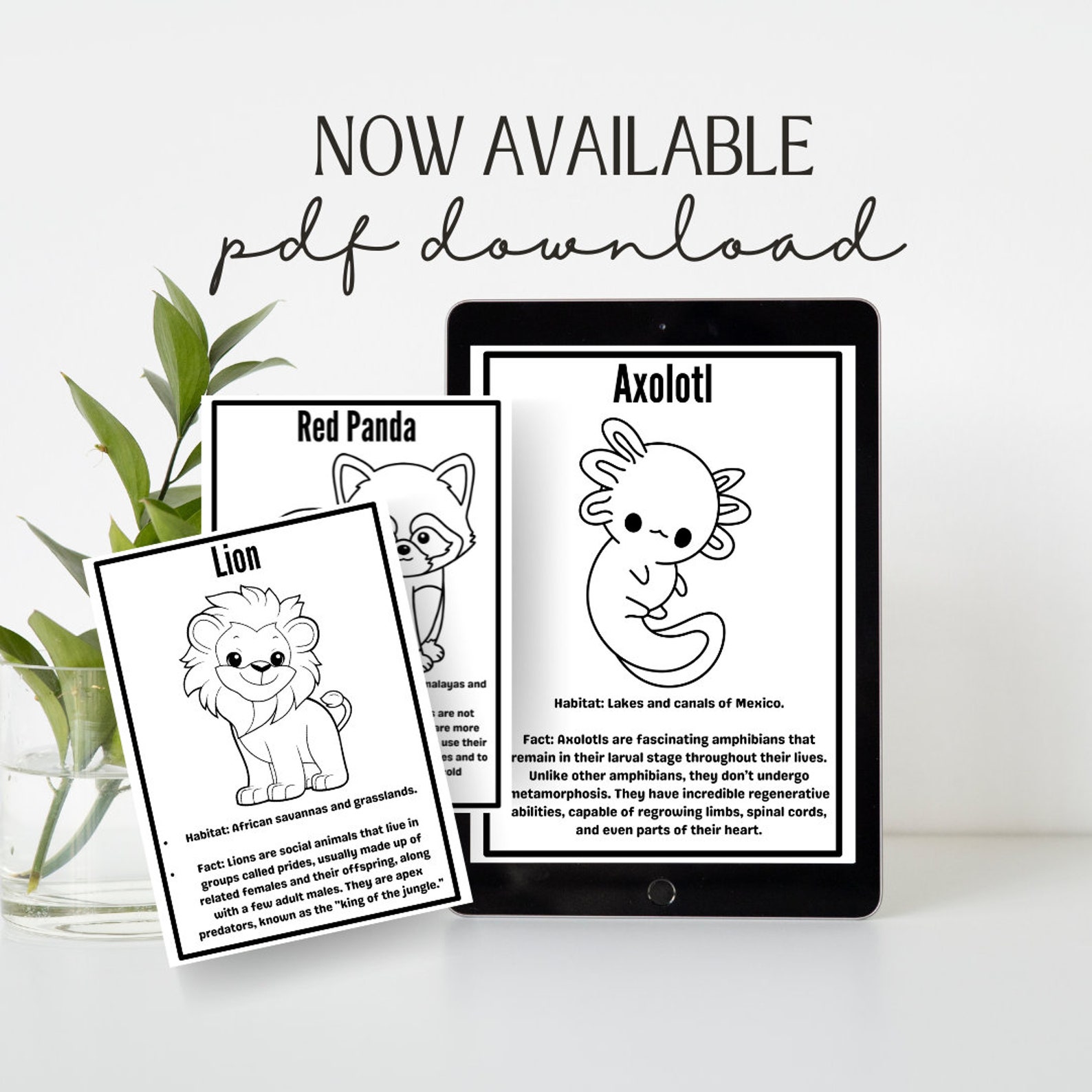 Educational Animal Facts Worksheet: From Lions and Elephants to Exotic ...