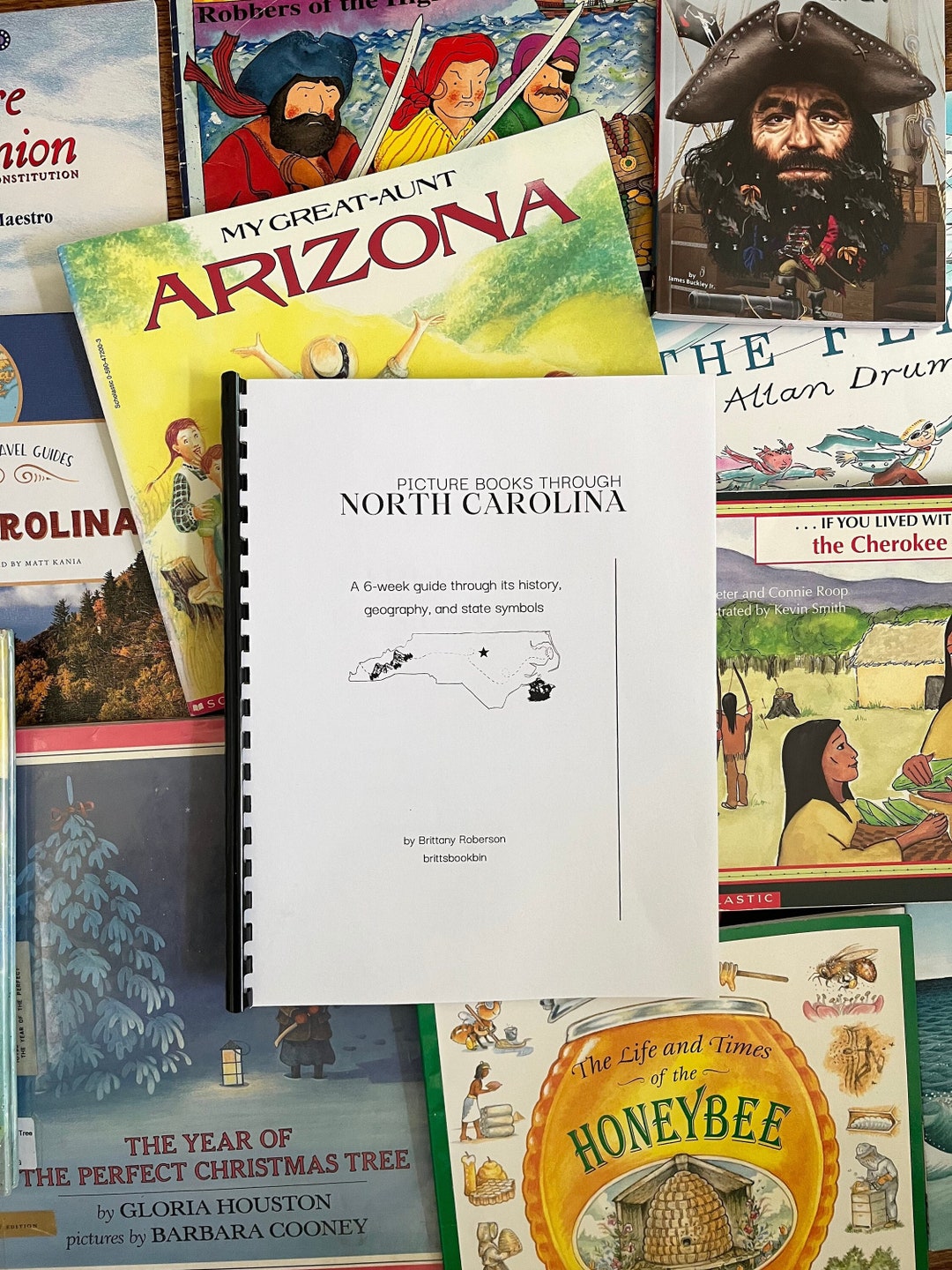 Picture Books Through North Carolina Study Guide - Etsy