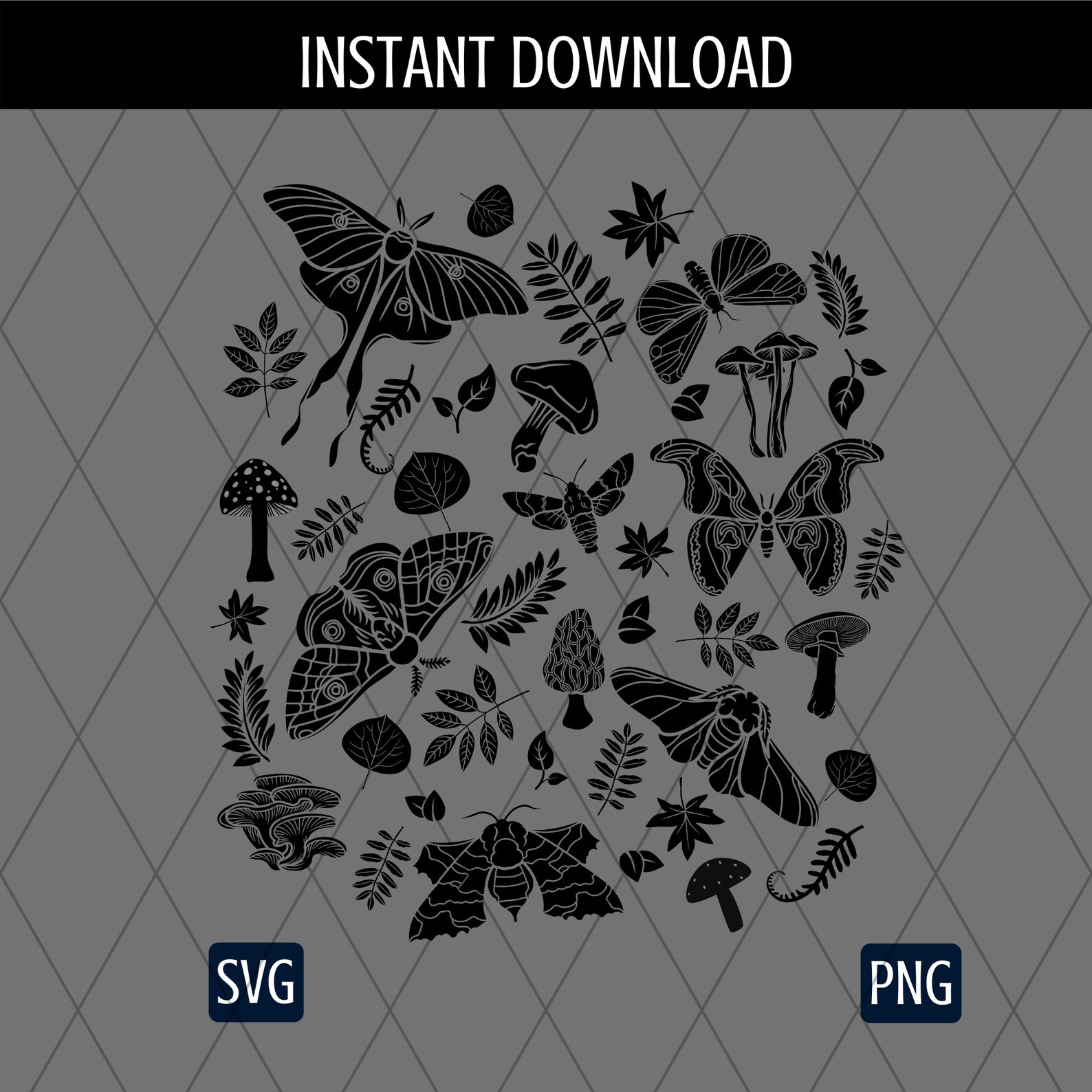 Moths and Mushrooms SVG PNG Entomology Shirt Insect Shirt Luna Moth ...