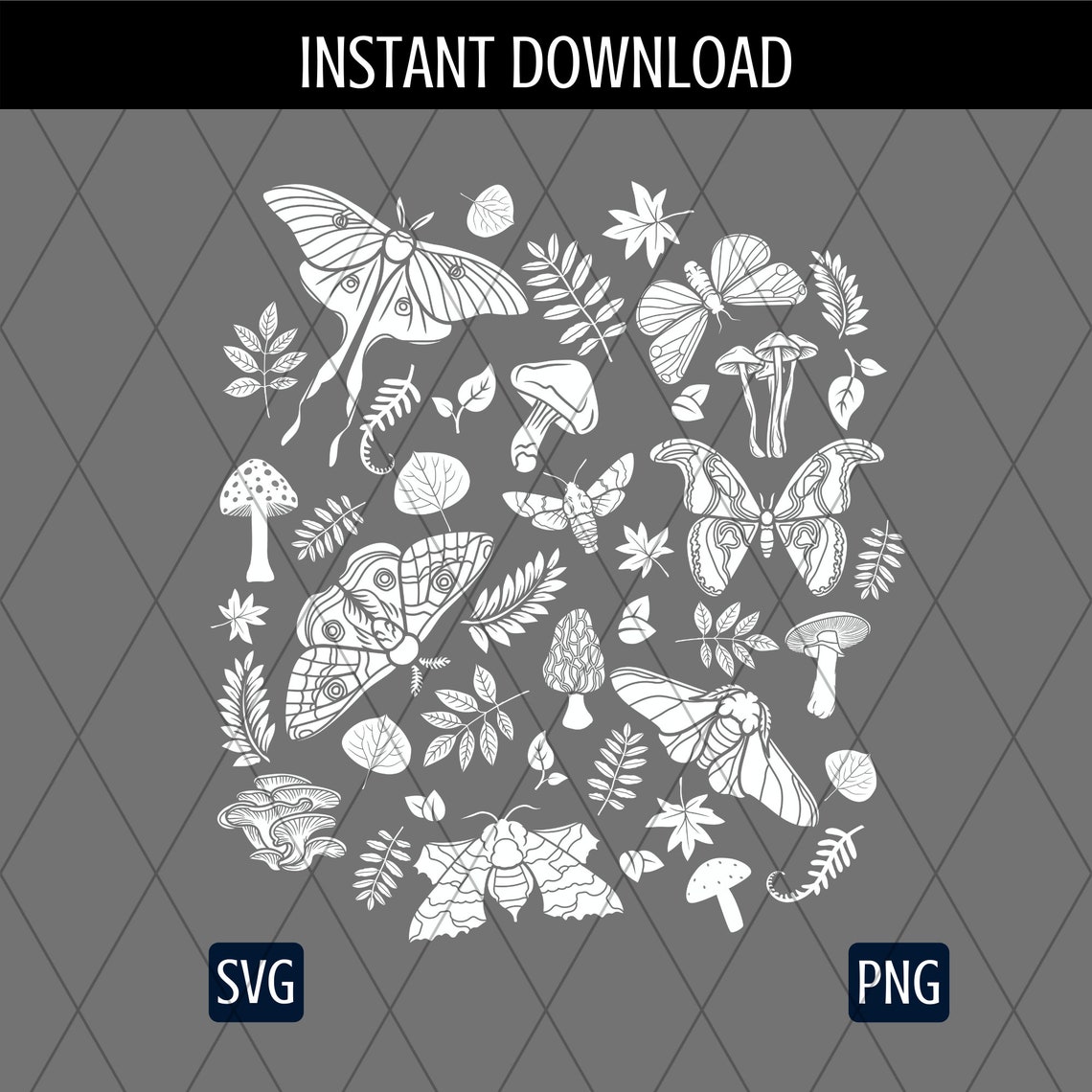 Moths and Mushrooms SVG PNG Entomology Shirt Insect Shirt Luna Moth ...