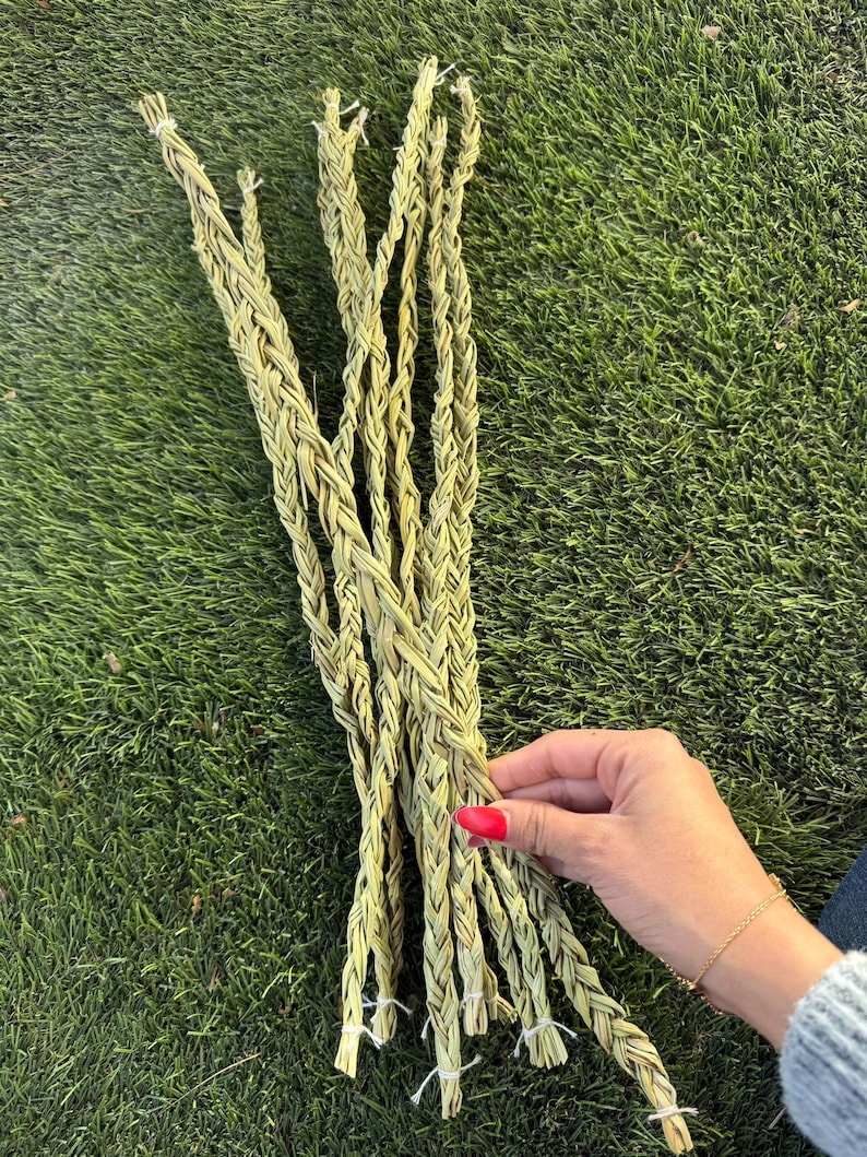 Sweetgrass Braids|wholesale| White Sage Alternative| Sage Bundles 20 ...