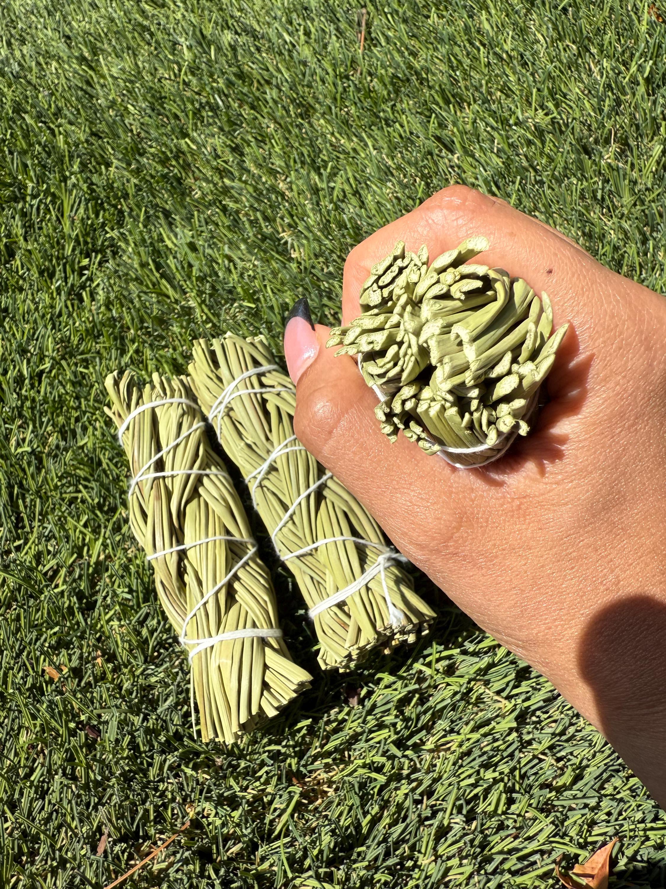 Sweetgrass Braids Thick| Wholesale| White Sage Alternative| Sage ...