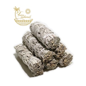 Wholesale White Sage Bundles 4” Inch White Sage Smudge Sticks Bulk, Organic White Sage at ...