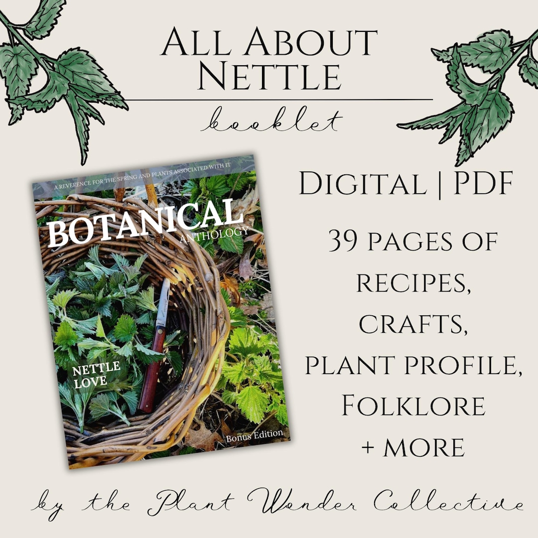 All About Nettle Booklet | PDF Digital Download | Herbalism Gardening ...