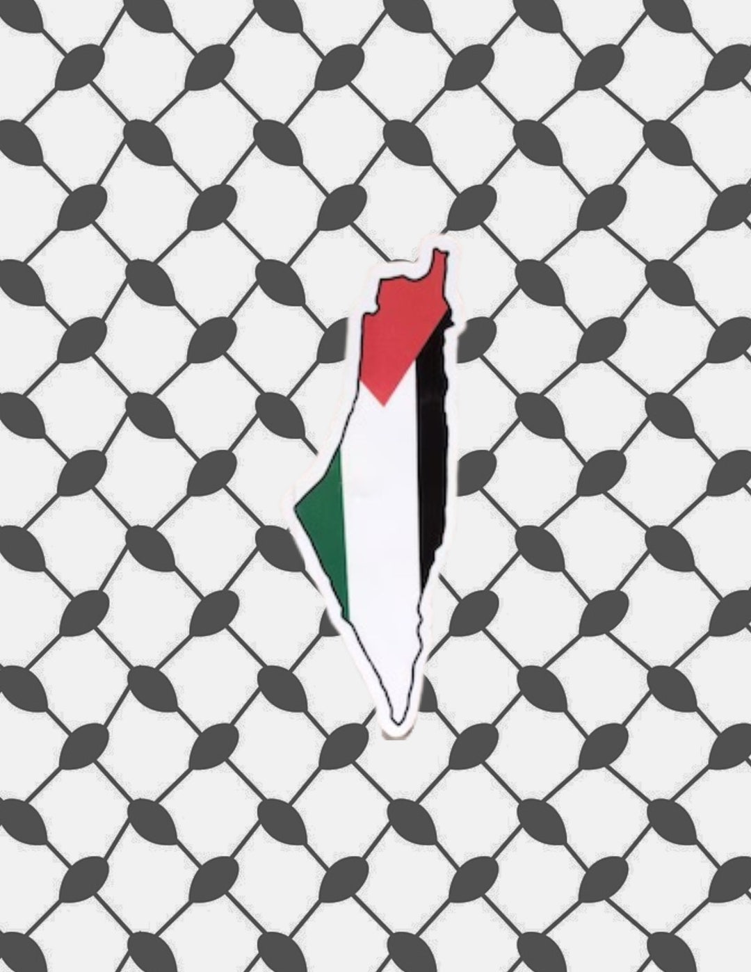 Palestine Flag Map Sticker - Etsy