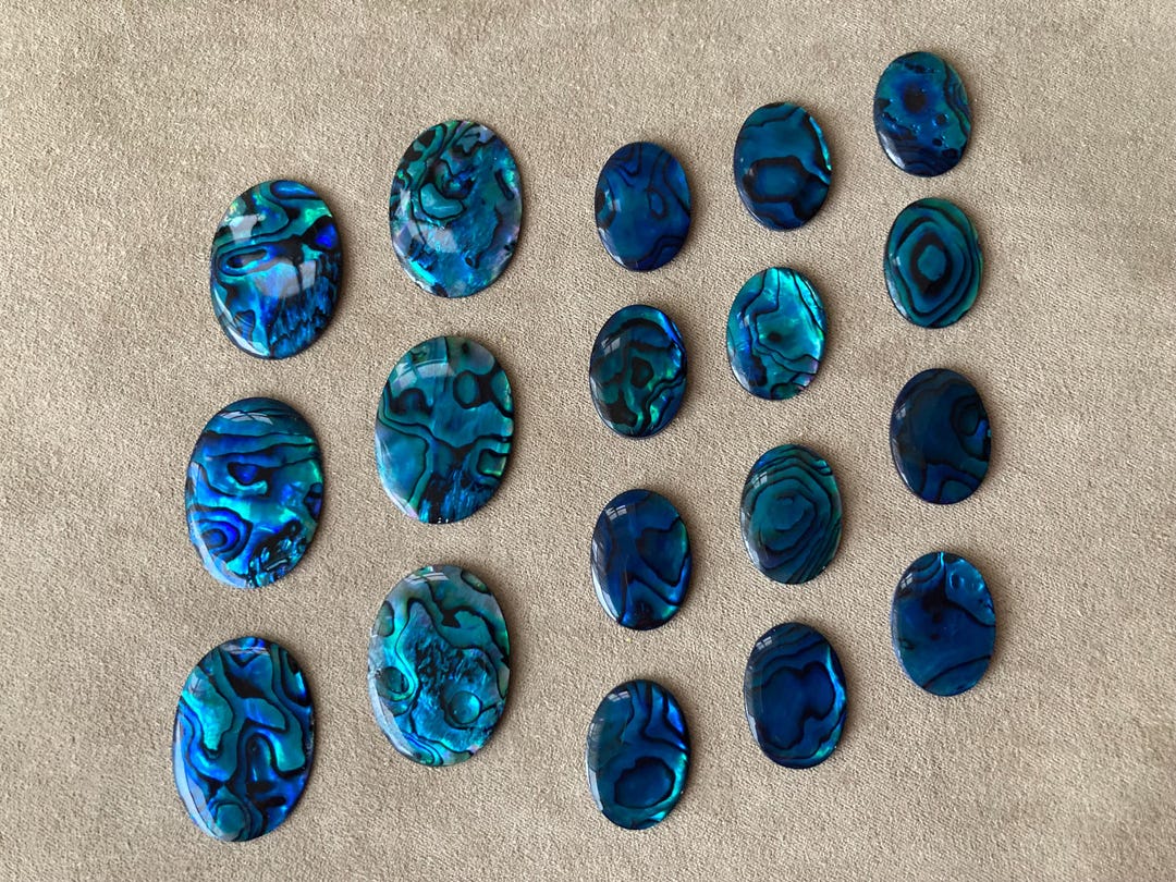 Shell Flat Back Calibrated Cabochon - Oval, Blue Paua / Abalone ...