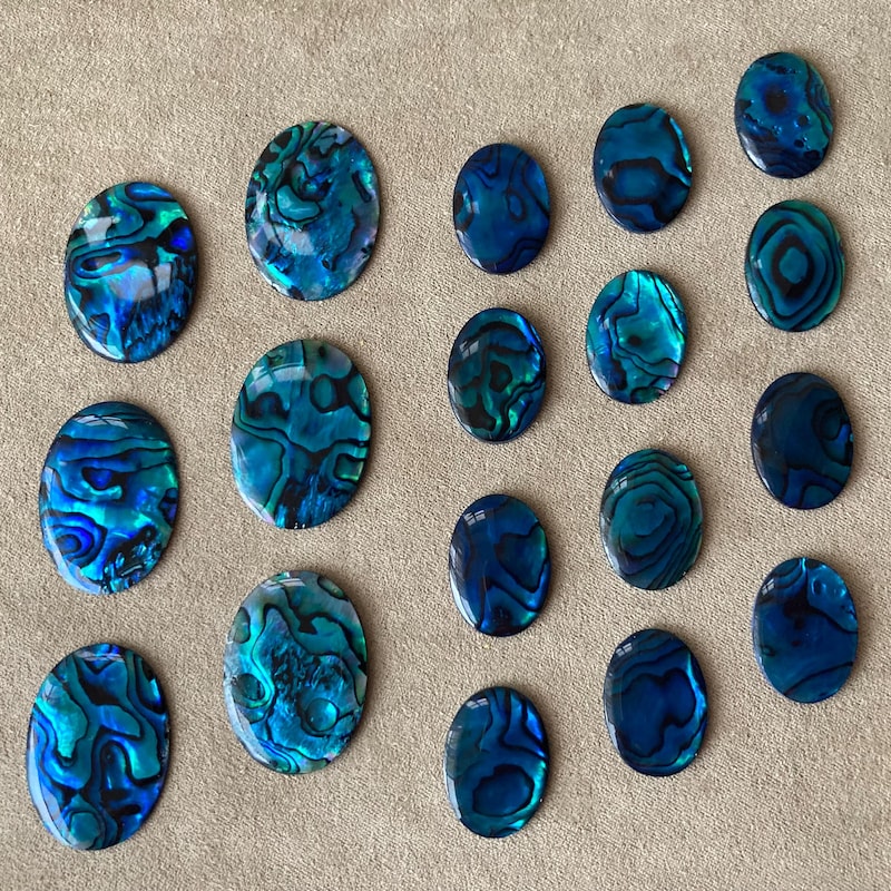 Blue Abalone Shell - Etsy