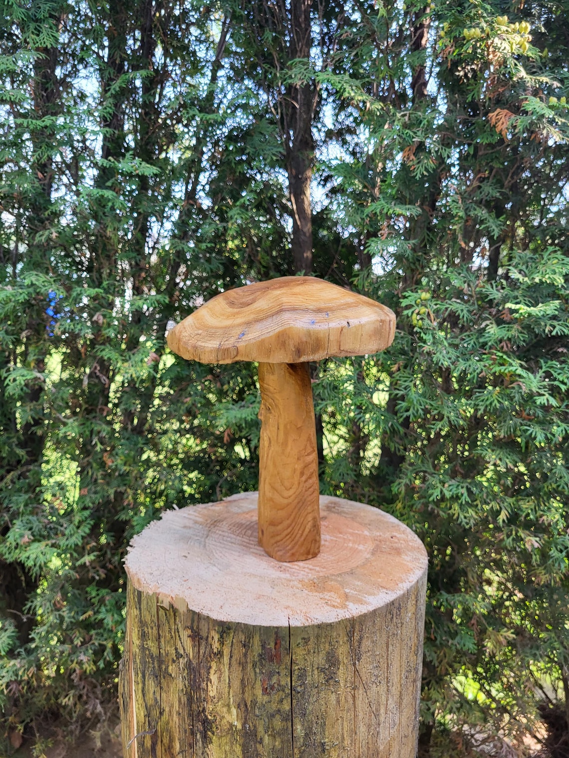 Mushroom Chainsaw Carved Wood Carving - Etsy