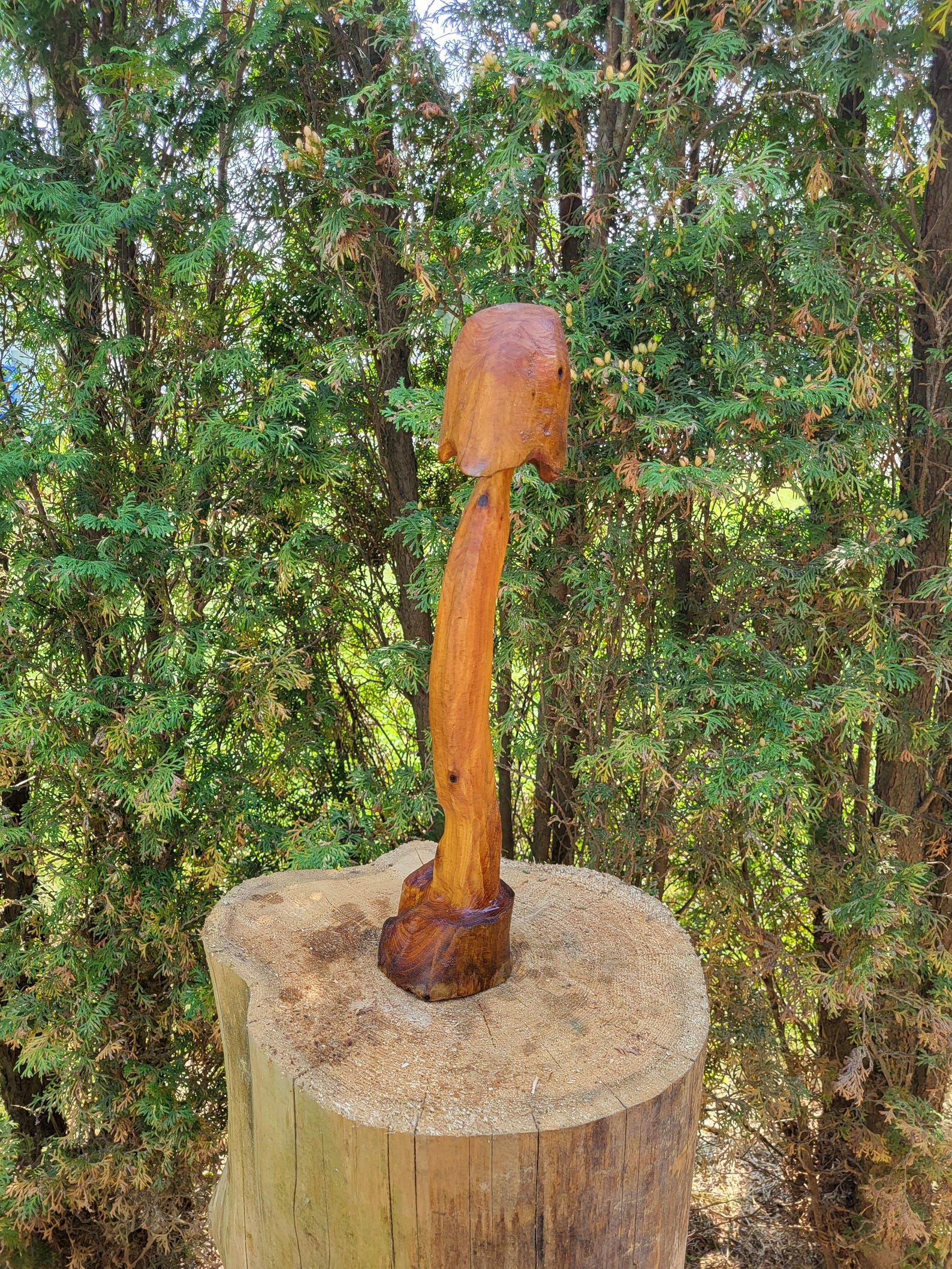 Tall Mushroom | Chainsaw Carved | Wood Carving - Etsy