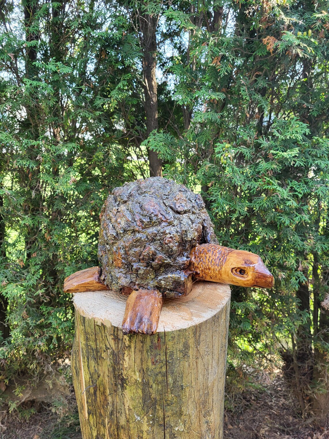 Turtle Chainsaw Carved Wood Carving - Etsy