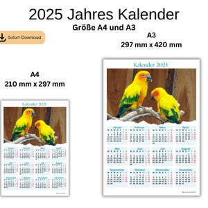 Annual Calendar 2025 to Print Colorful Sun Conures as a Great Wall Art ...