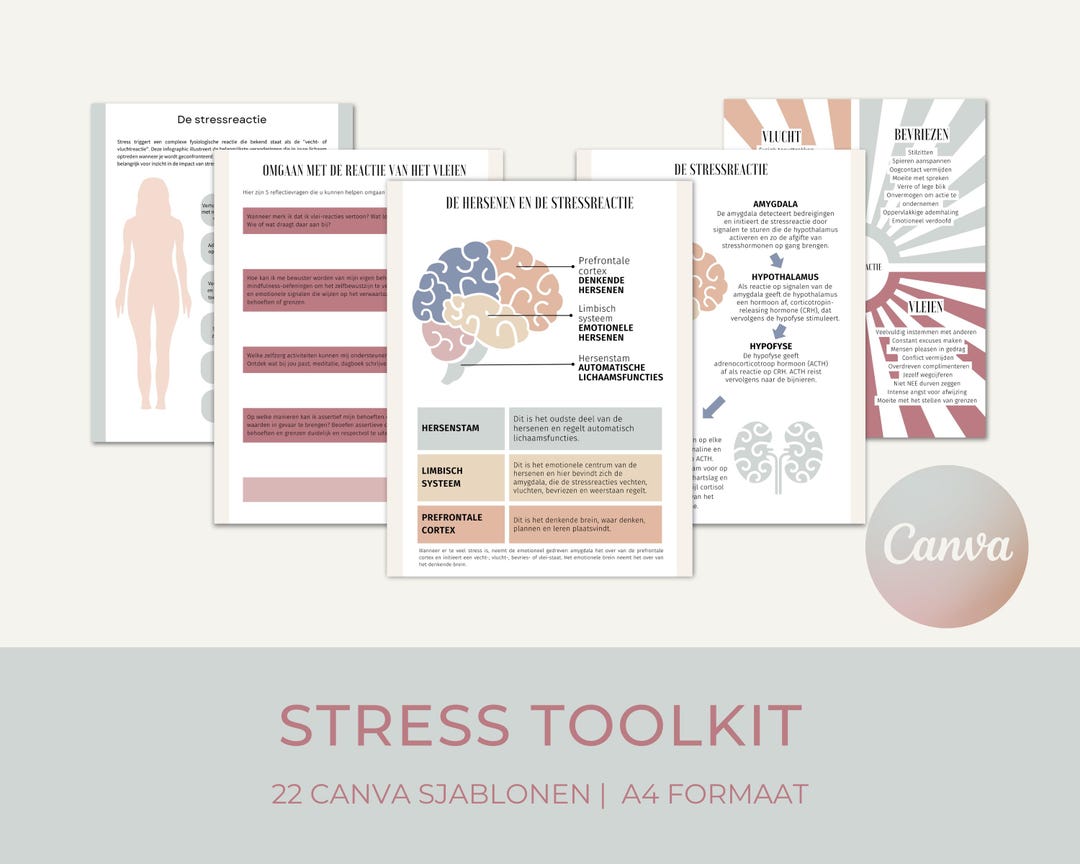 Therapy Worksheets, Coaching Worksheets, Stress Worksheets, Self ...