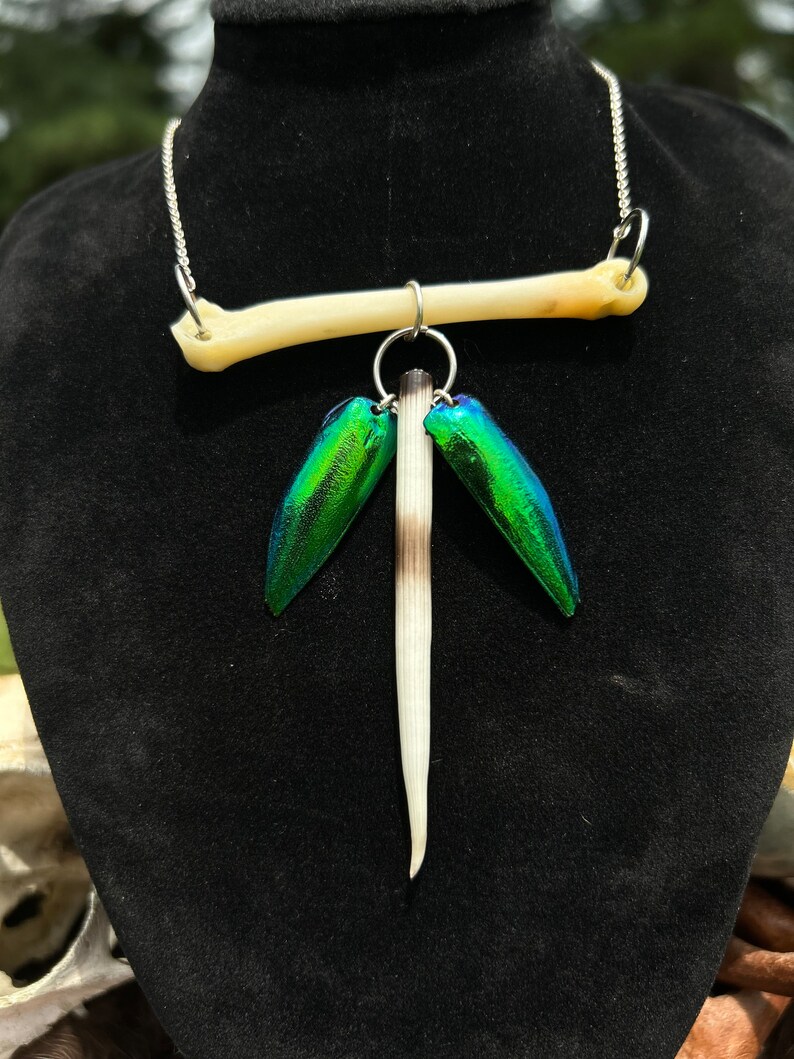 Coyote Bone, Porcupine Quill, Beetle Wing Necklace OOAK - Etsy