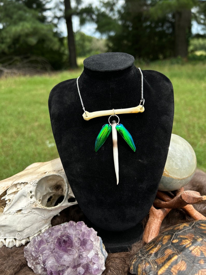 Coyote Bone, Porcupine Quill, Beetle Wing Necklace OOAK - Etsy