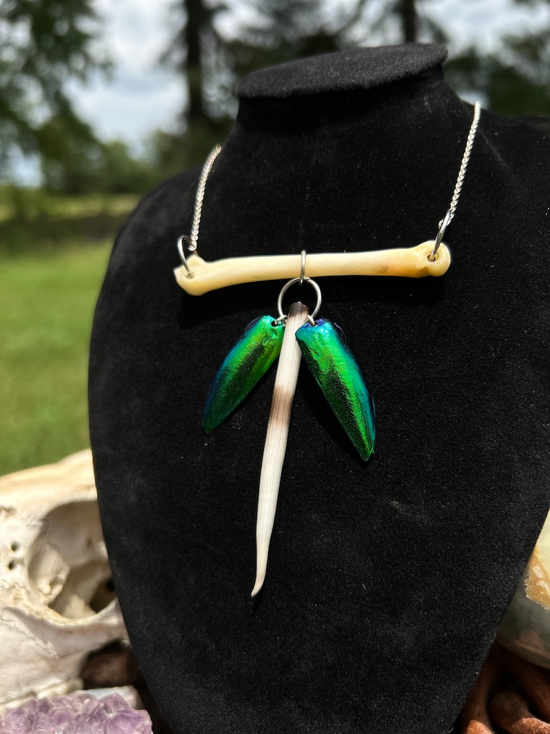 Coyote Bone, Porcupine Quill, Beetle Wing Necklace OOAK - Etsy