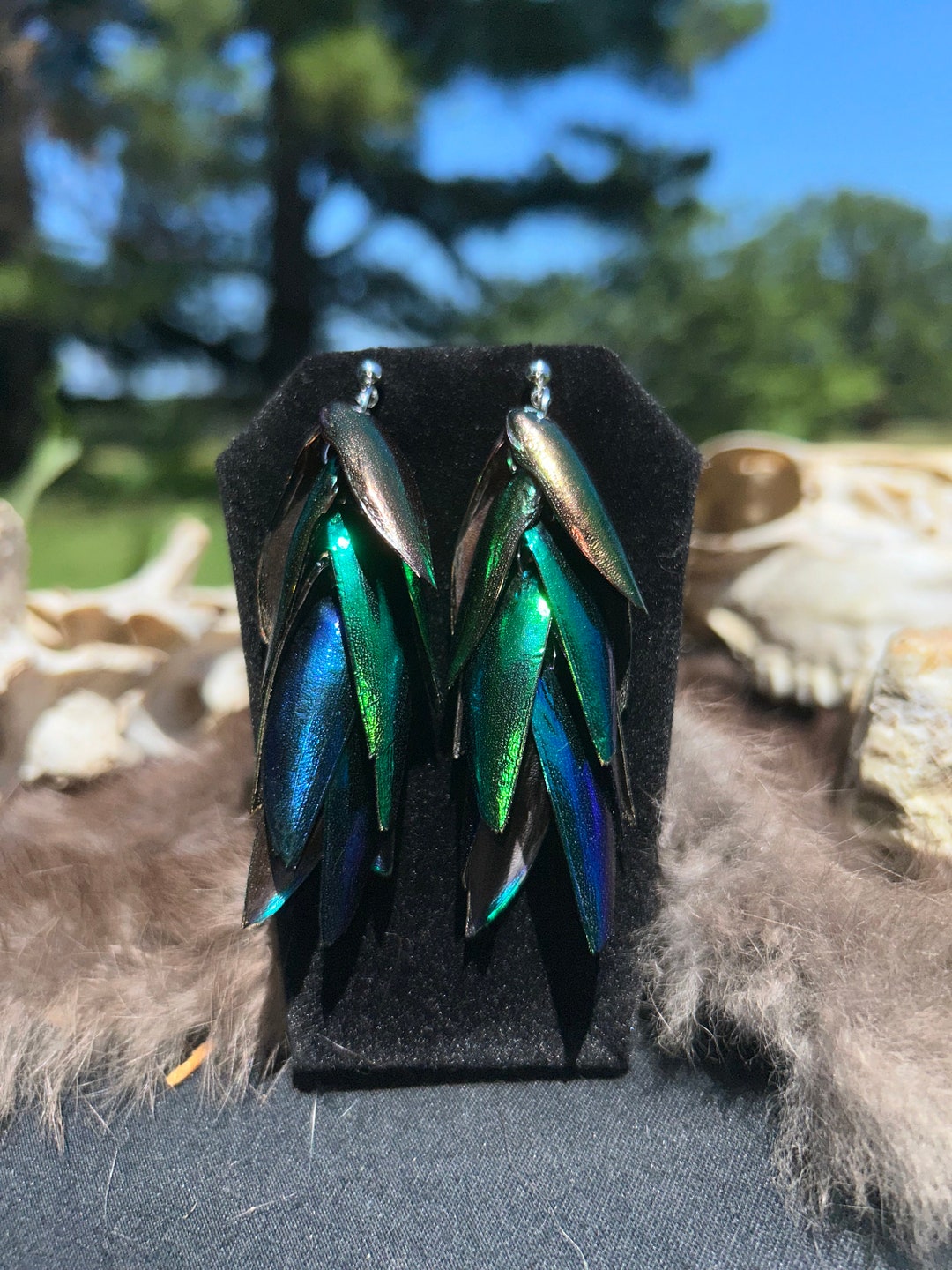 Rainbow Beetle Wing Earrings - Etsy