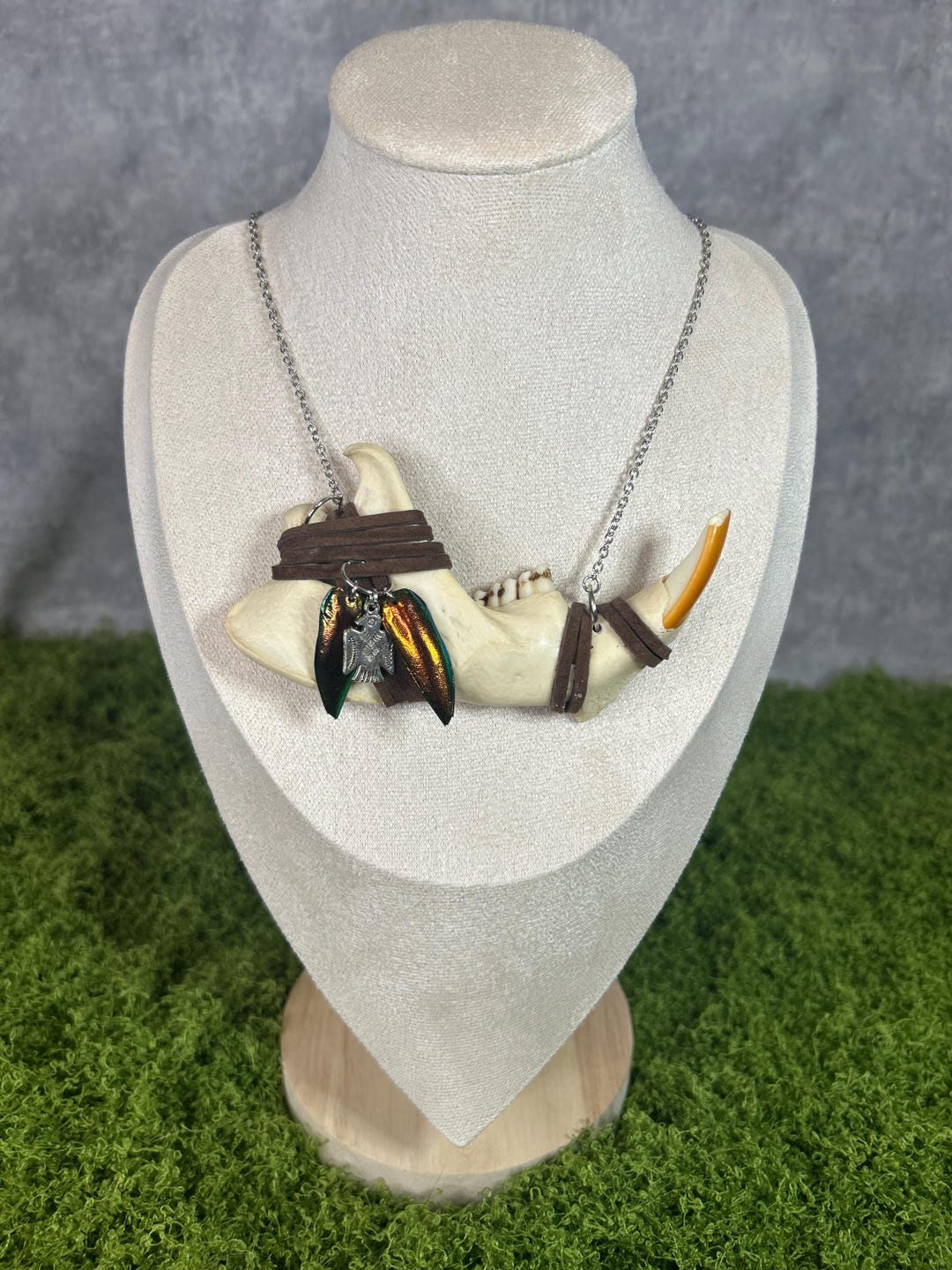 Leather Wrapped Beaver Jaw Bone & Beetle Wing Necklace OOAK - Etsy