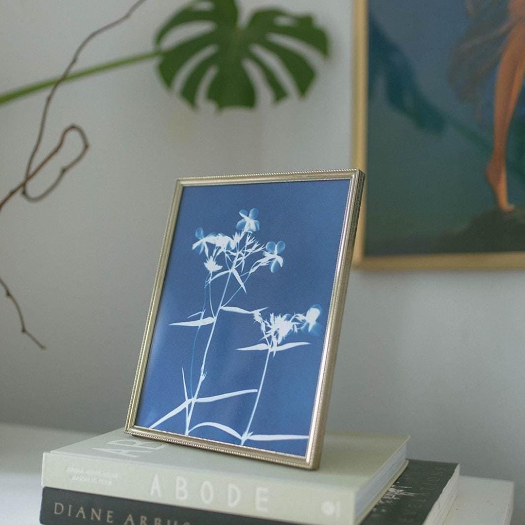 Original Floral Cyanotype Art Print in Vintage Mid Century Frame - Etsy